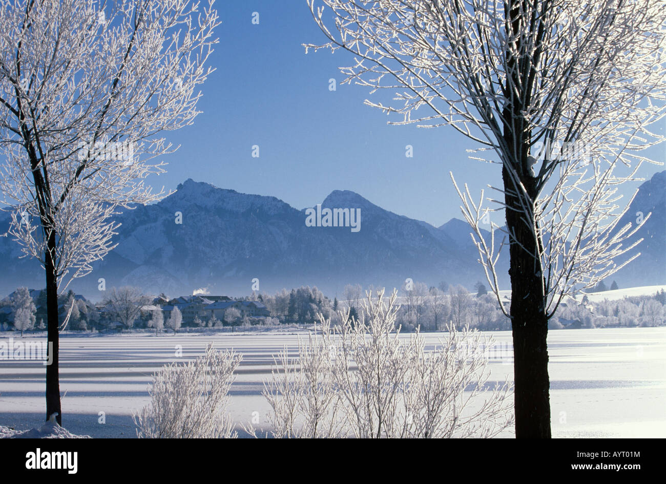 Hopfensee Lake, Hopfen, East Allgaeu, Bavaria, Germany, Europe Stock ...