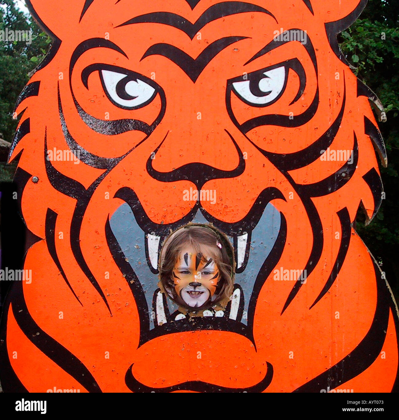 Young toddler child peering through tiger face cut out with own face ...