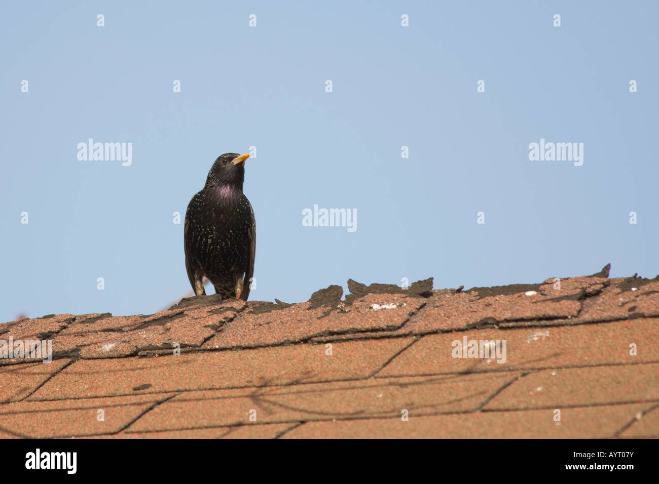 Black hi res hi-res stock photography and images - Alamy