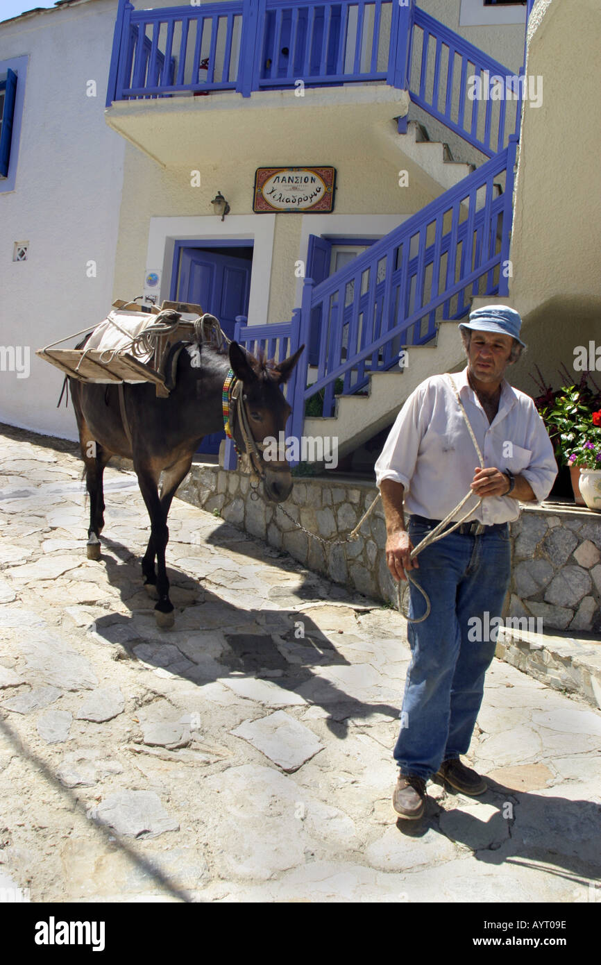 Mule carry goods hi-res stock photography and images - Alamy