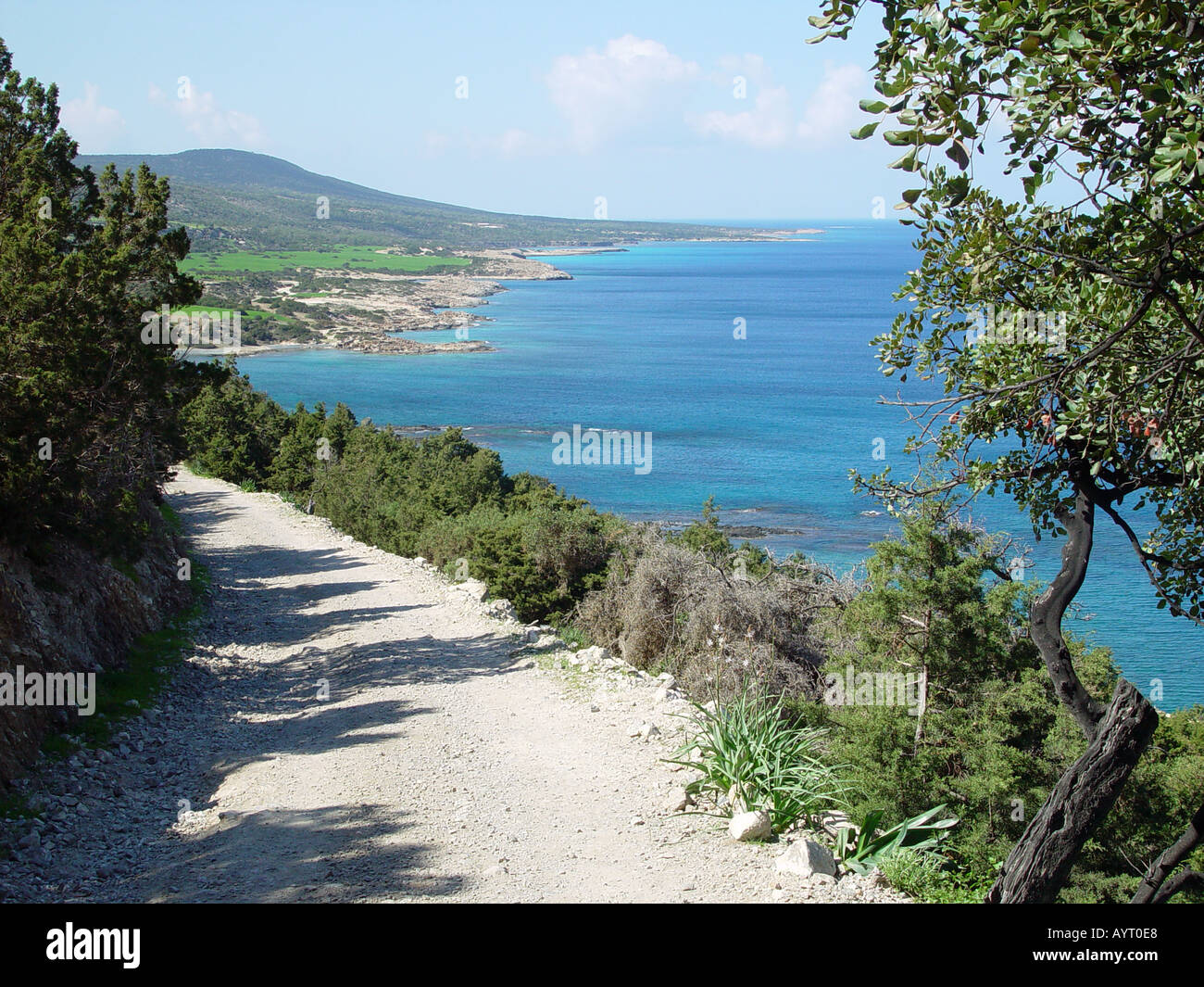 The olive tree and bath hi-res stock photography and images - Alamy