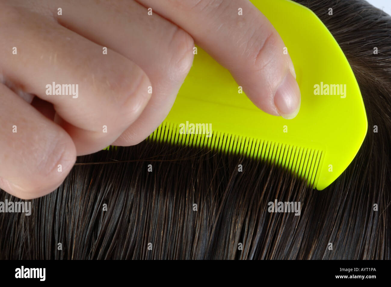 Nit comb, A mother combing her daughters hair with a nit comb Stock ...