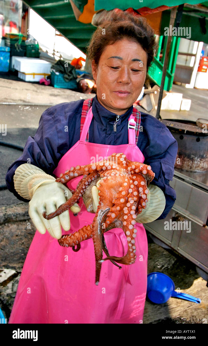 Octopus lady with octopus for sale at Jagalchi fish market Busan Korea ...