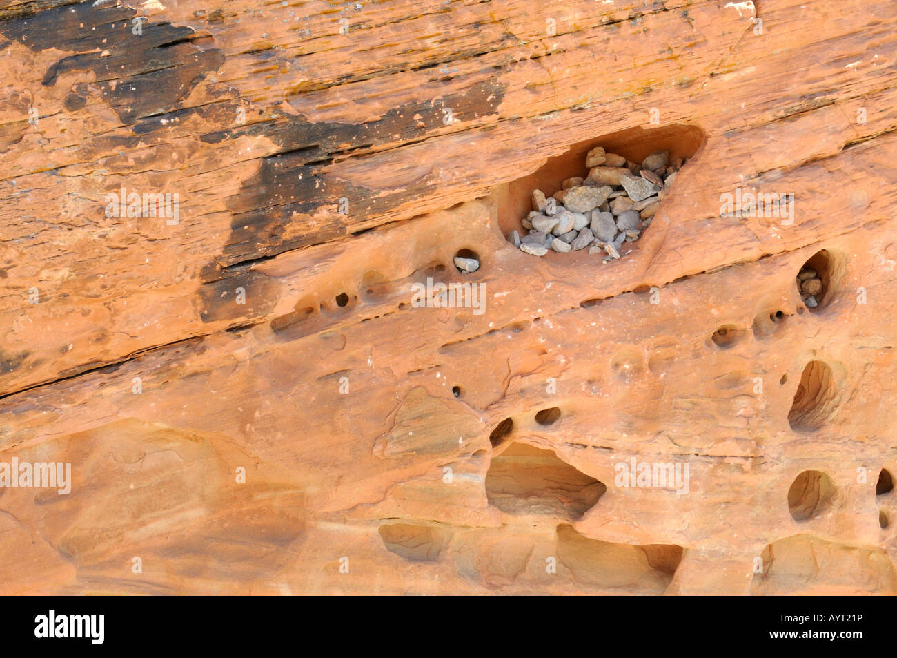 Part of a 'beehive' rock formation in the Valley of Fire State Park in ...