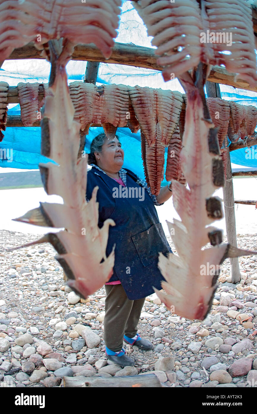 Elder Inuit woman with dried fish in smoke tent Stock Photo - Alamy