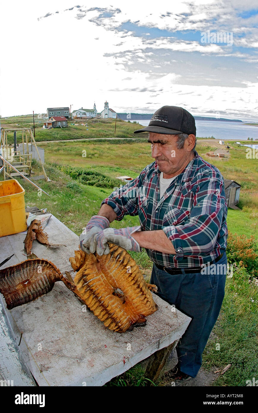 Inuit elder cuts dried fish Stock Photo - Alamy