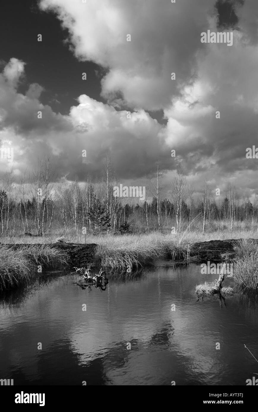 Former swampland hi-res stock photography and images - Alamy