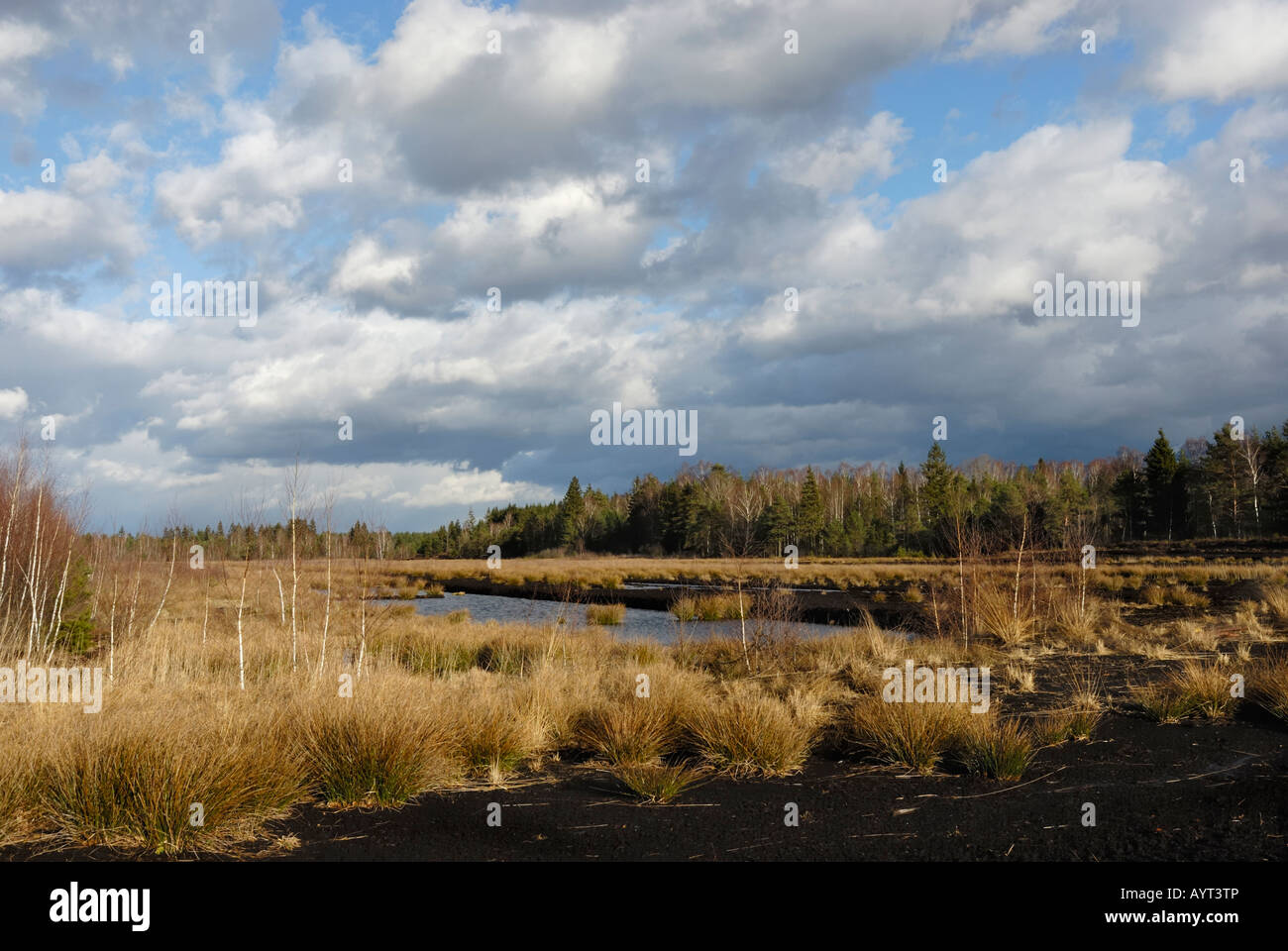 Dramatic clouds forming over a former peat bog, Bavarian wetlands near ...