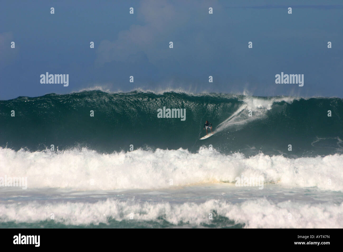 Surfer on a wave, Oahu, Hawaii, Pacific Ocean Stock Photo - Alamy