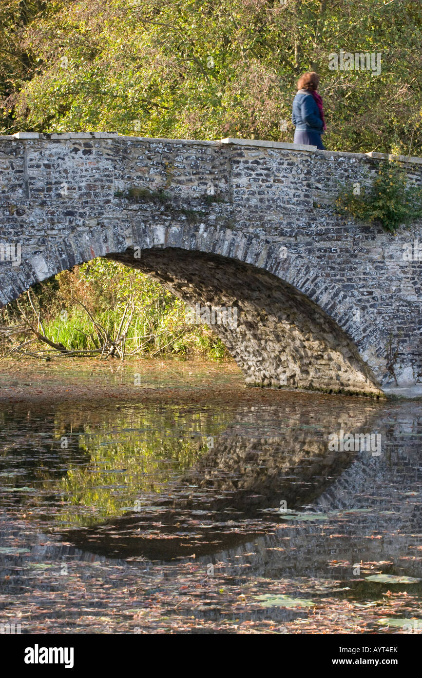 Waverley surrey walking hi-res stock photography and images - Alamy