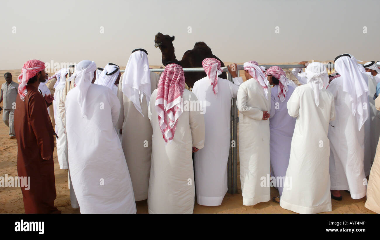 Male spectators at a camel festival in the desert near Madinat Zayed ...