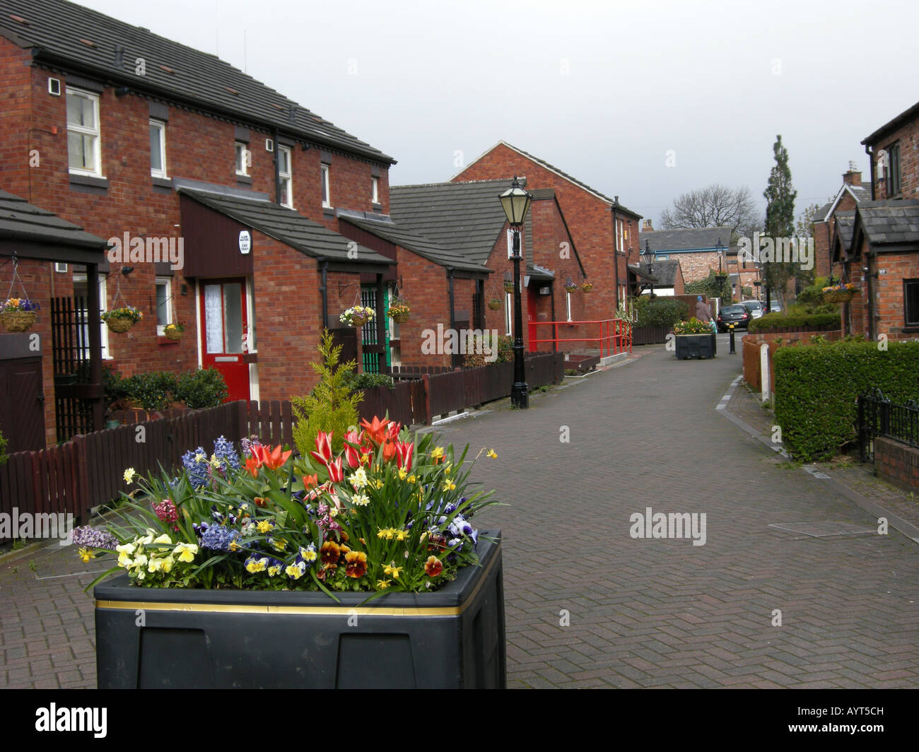 suburban back street decorated with flowers Stock Photo - Alamy