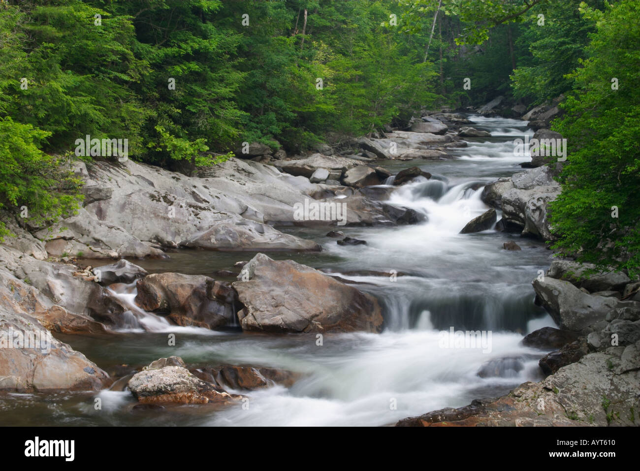 Views tennessee river water hi-res stock photography and images - Alamy