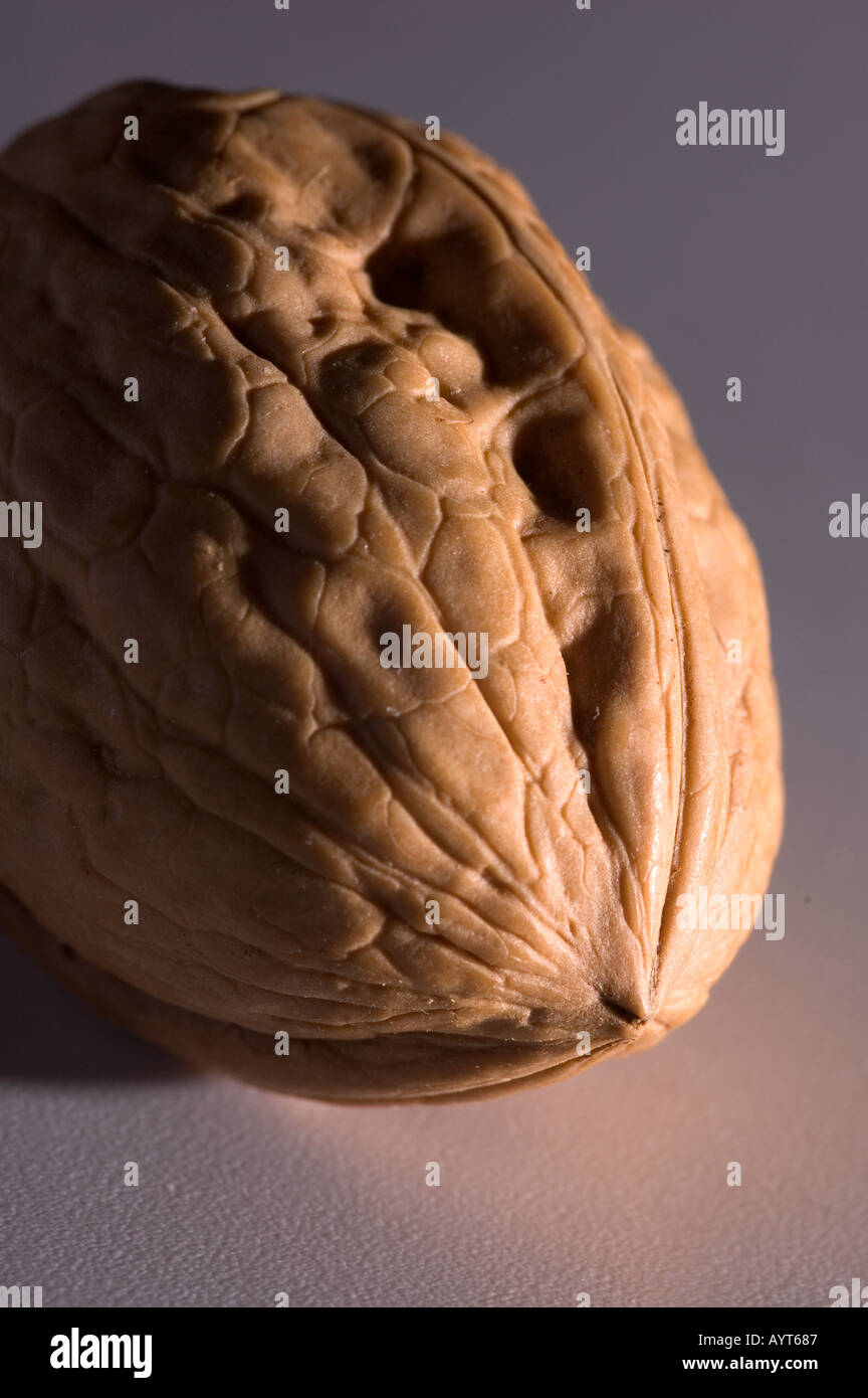 Walnut kernal hi-res stock photography and images - Alamy