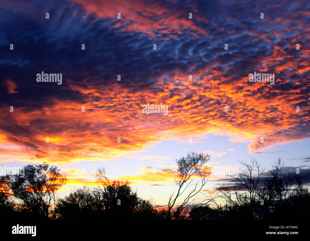 Dawn over australian outback hi-res stock photography and images - Alamy