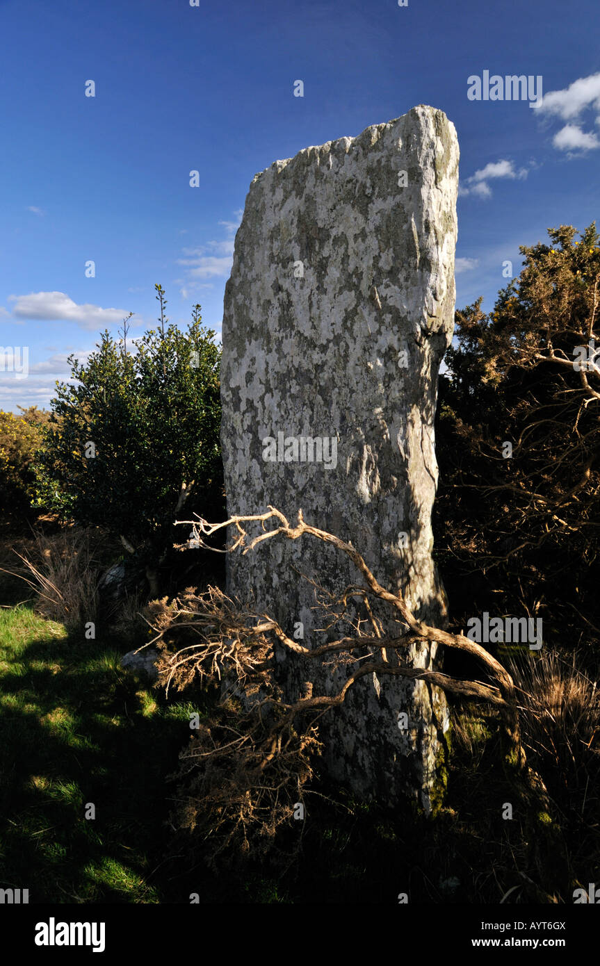 Leitrim beg standing stone hi-res stock photography and images - Alamy