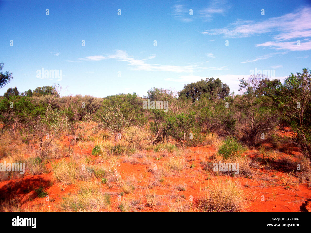 The Red Centre of Australia Stock Photo - Alamy