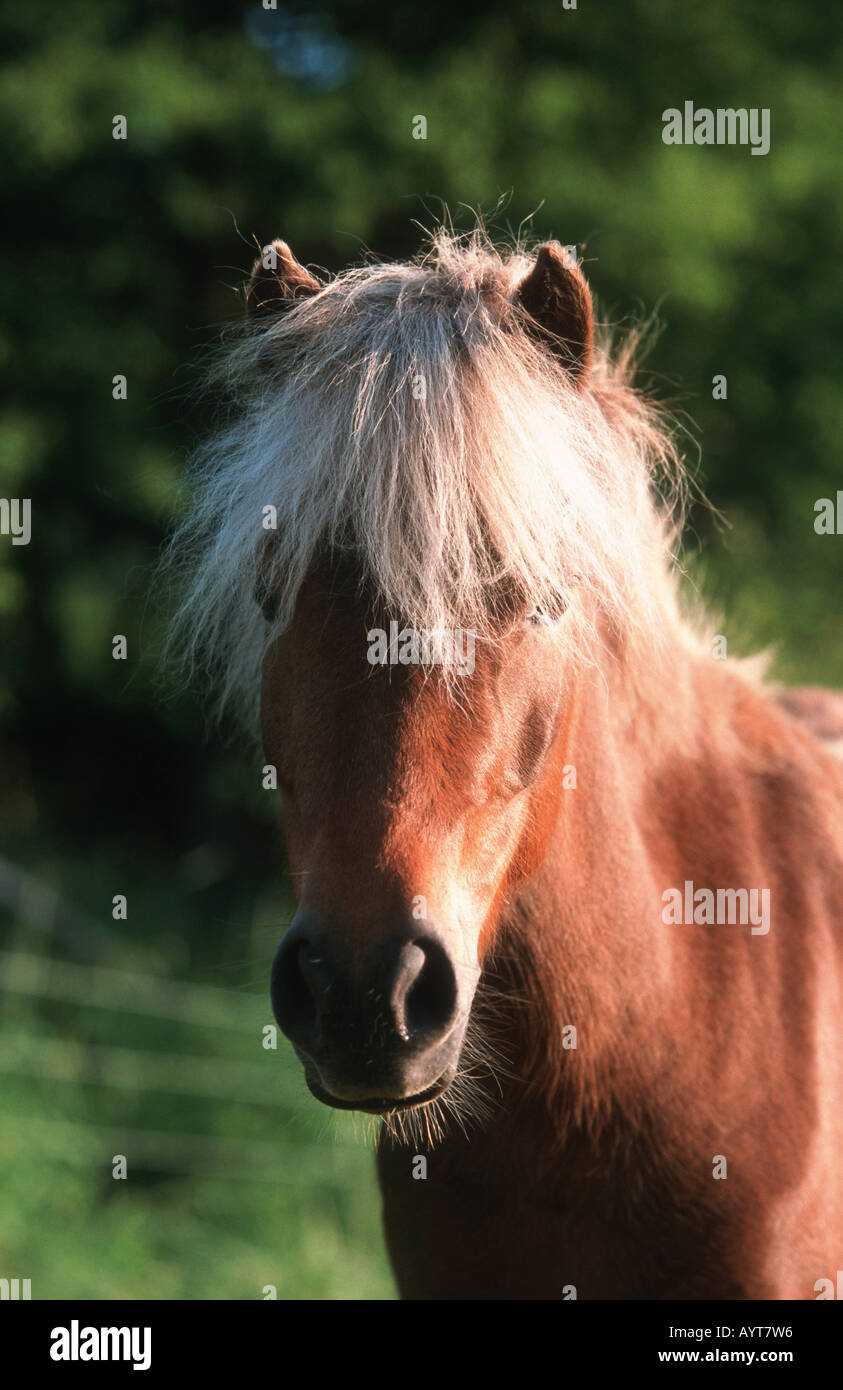 German classik hi-res stock photography and images - Alamy