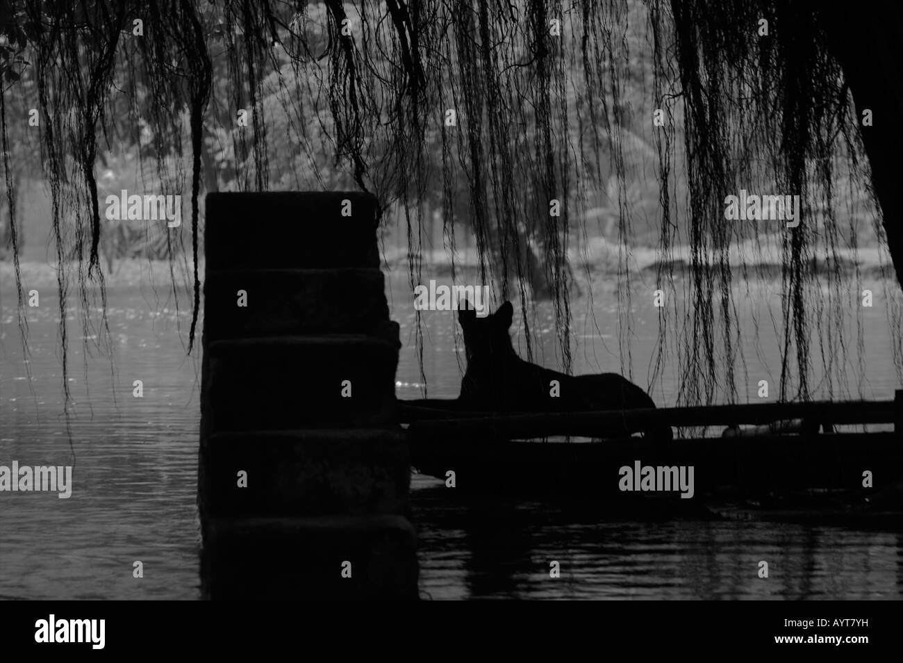 Hoang Long River Tam Coc Ninh Binh Province Stock Photo - Alamy