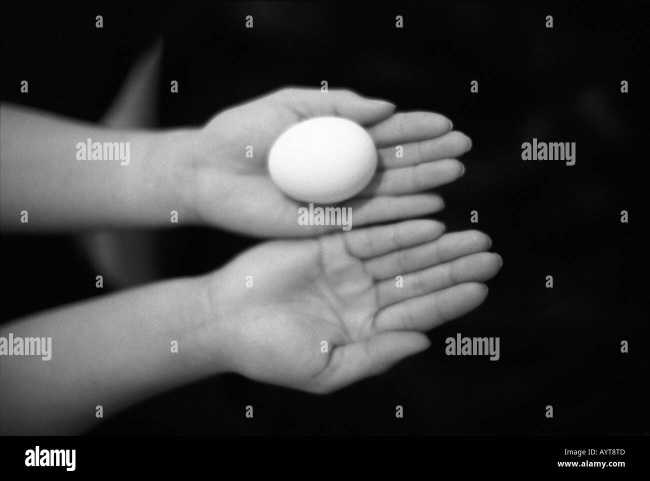 An egg in the hand Stock Photo - Alamy