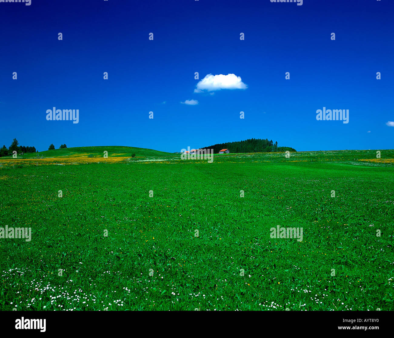 Landscape of green fields with houses in the distance Stock Photo - Alamy