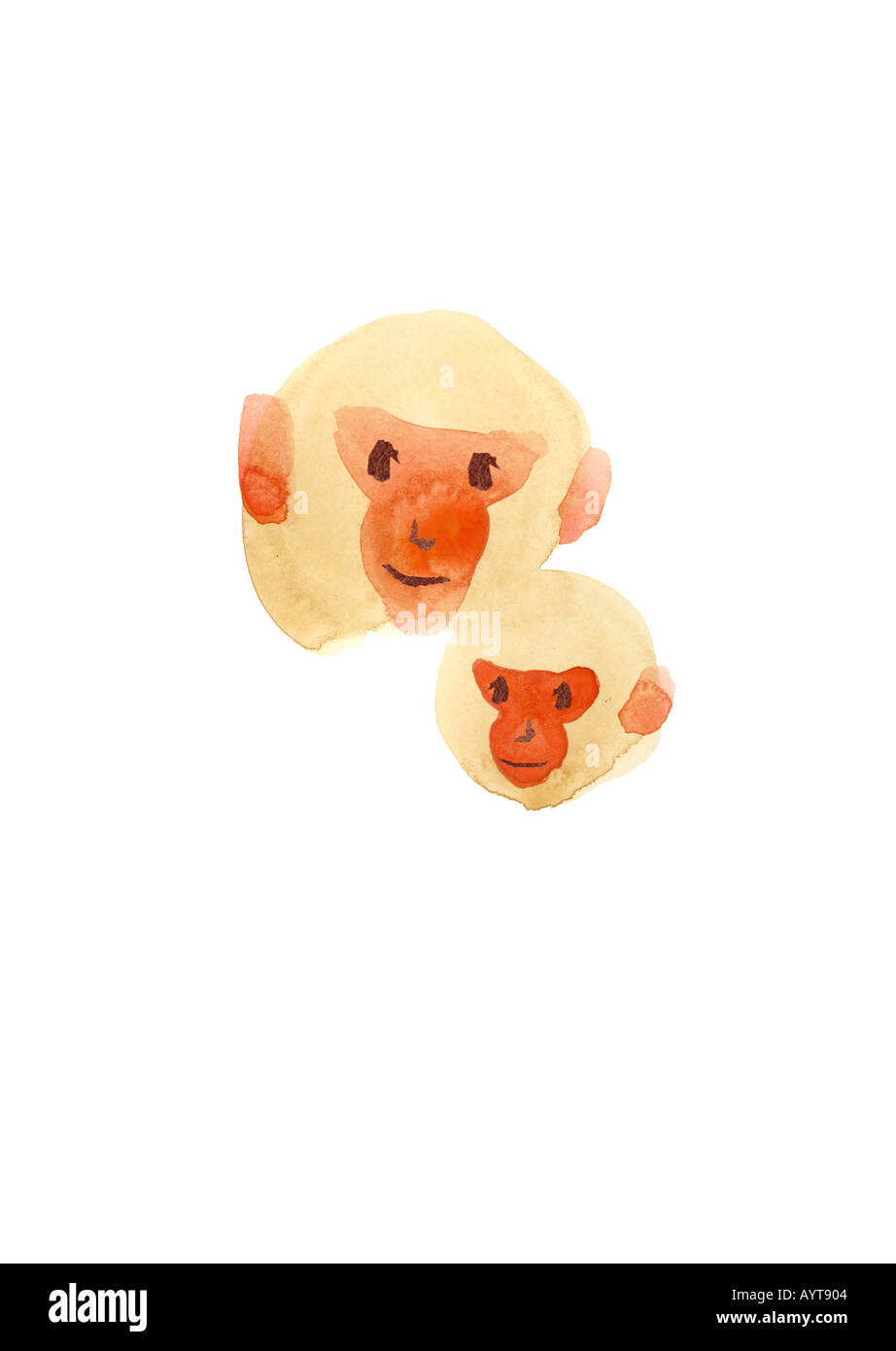 Watercolor illustration of two monkeys faces Stock Photo - Alamy