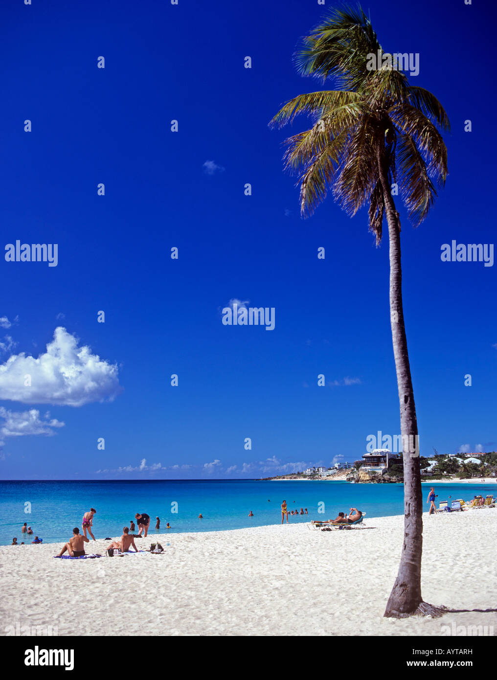 0466 Mullet Beach Sint Maarten Netherlands Antilles West Indies ...