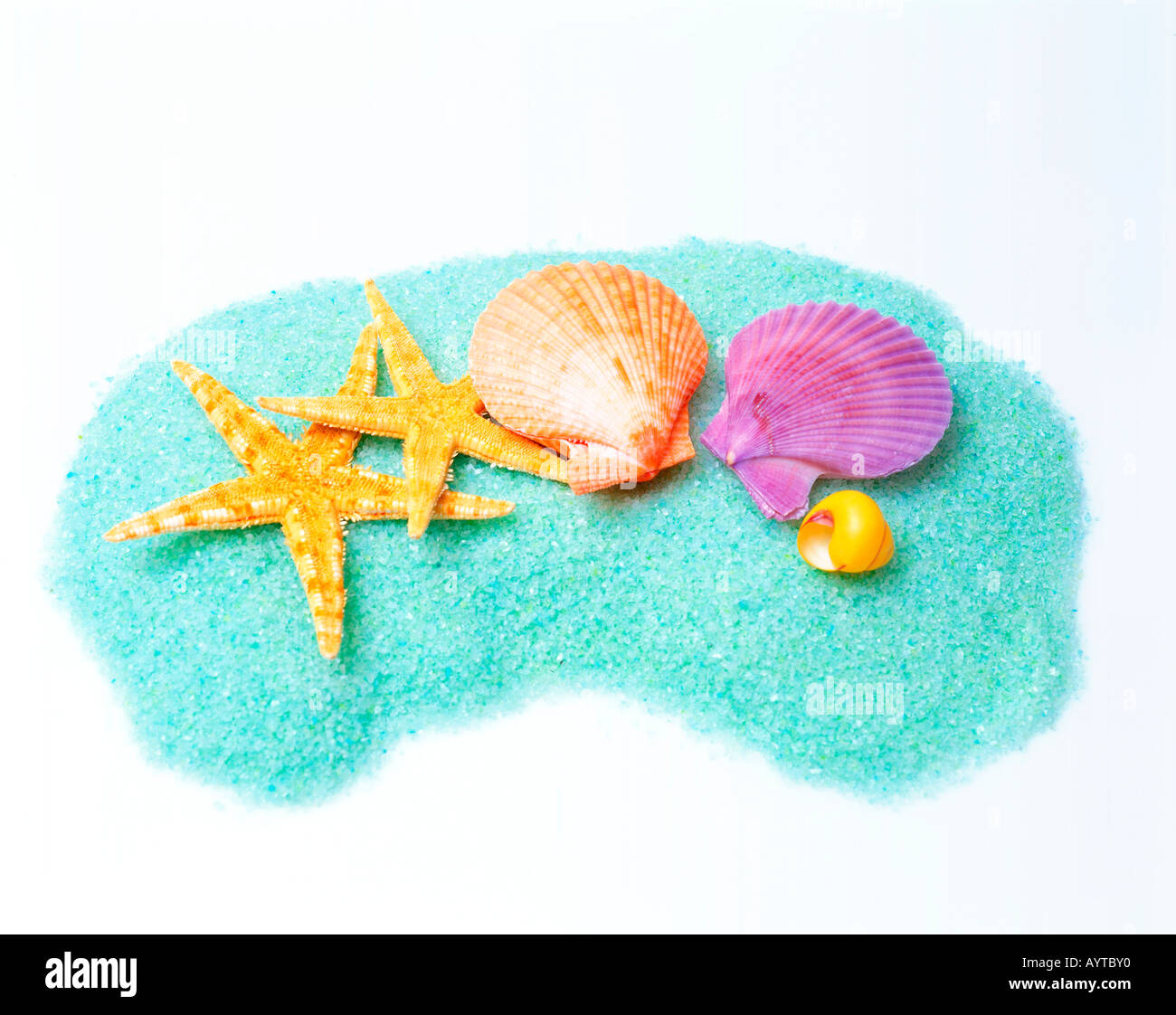 Shells on the sand Stock Photo - Alamy