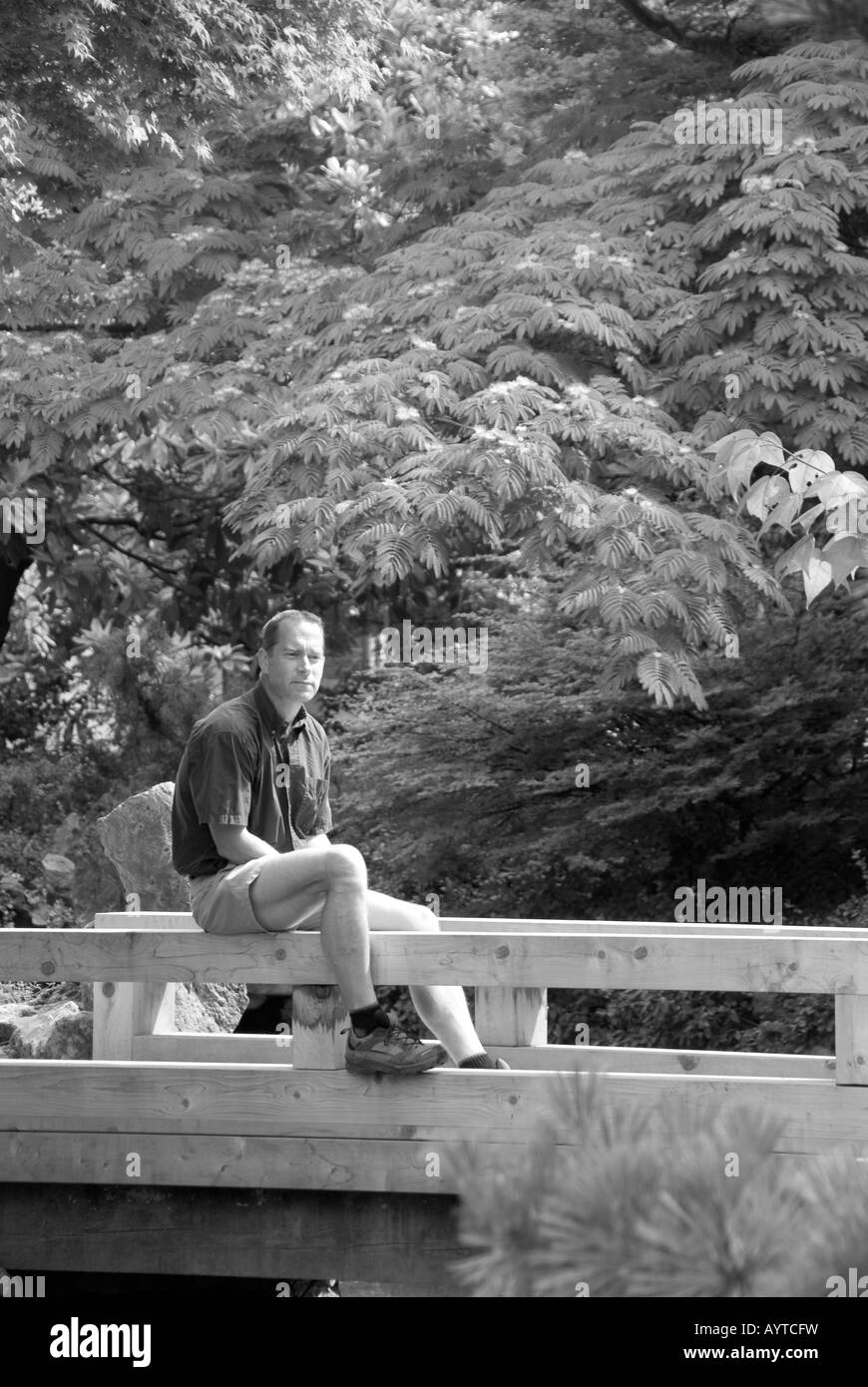A lone man sits and contemplates in a Chinese garden Stock Photo - Alamy