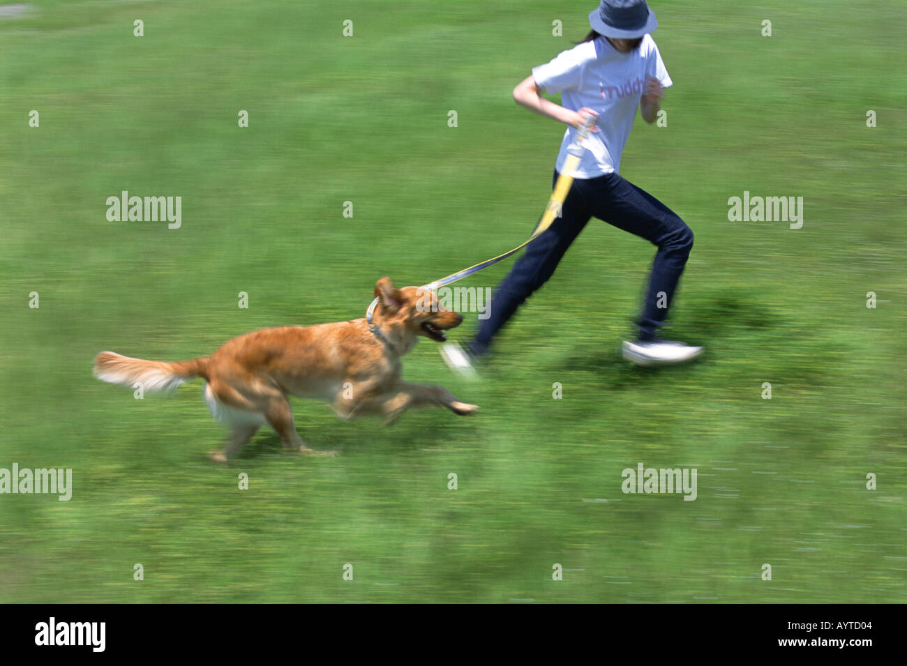 Young woman running with a dog Stock Photo - Alamy