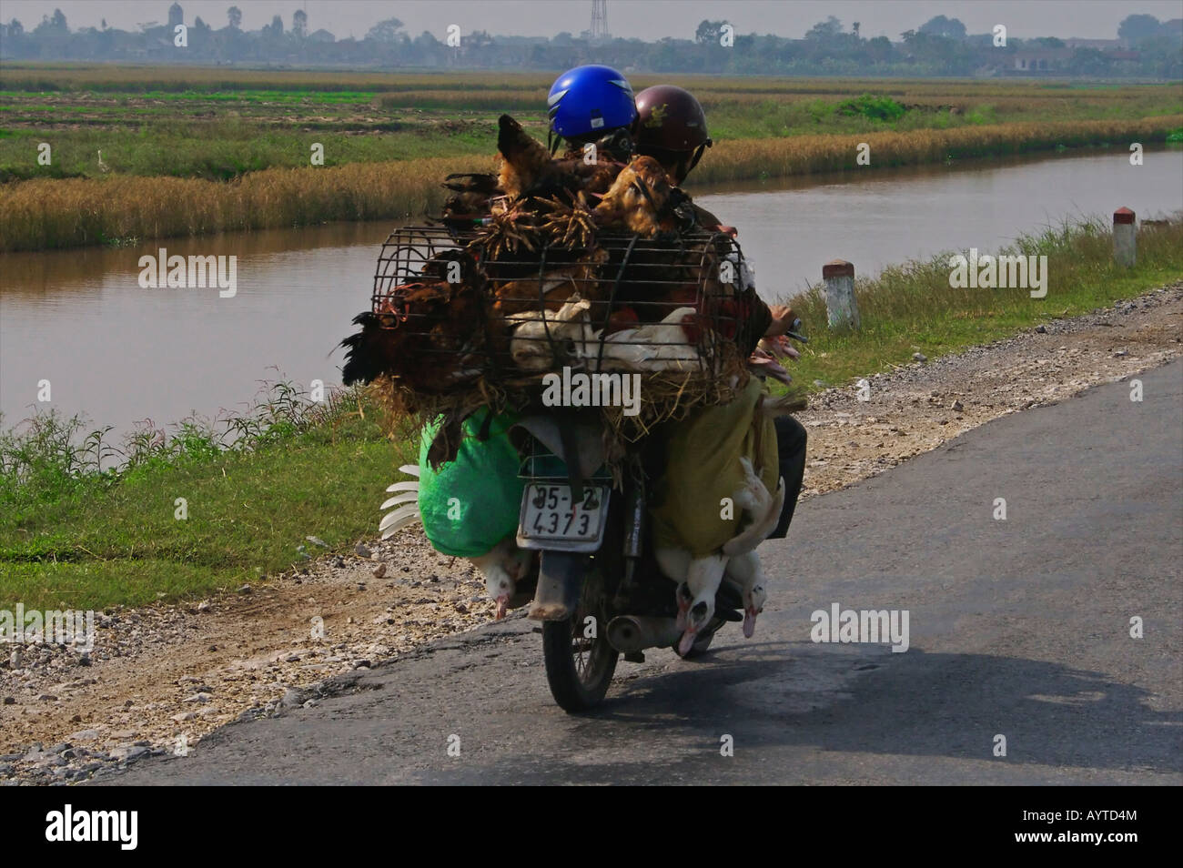 Motorbike asia overloaded hi-res stock photography and images - Alamy