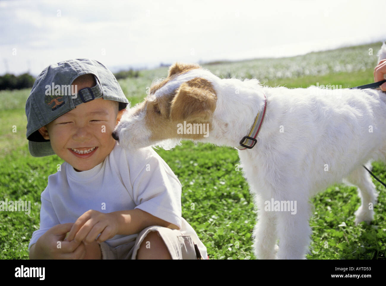 Boy with a dog hi-res stock photography and images - Alamy