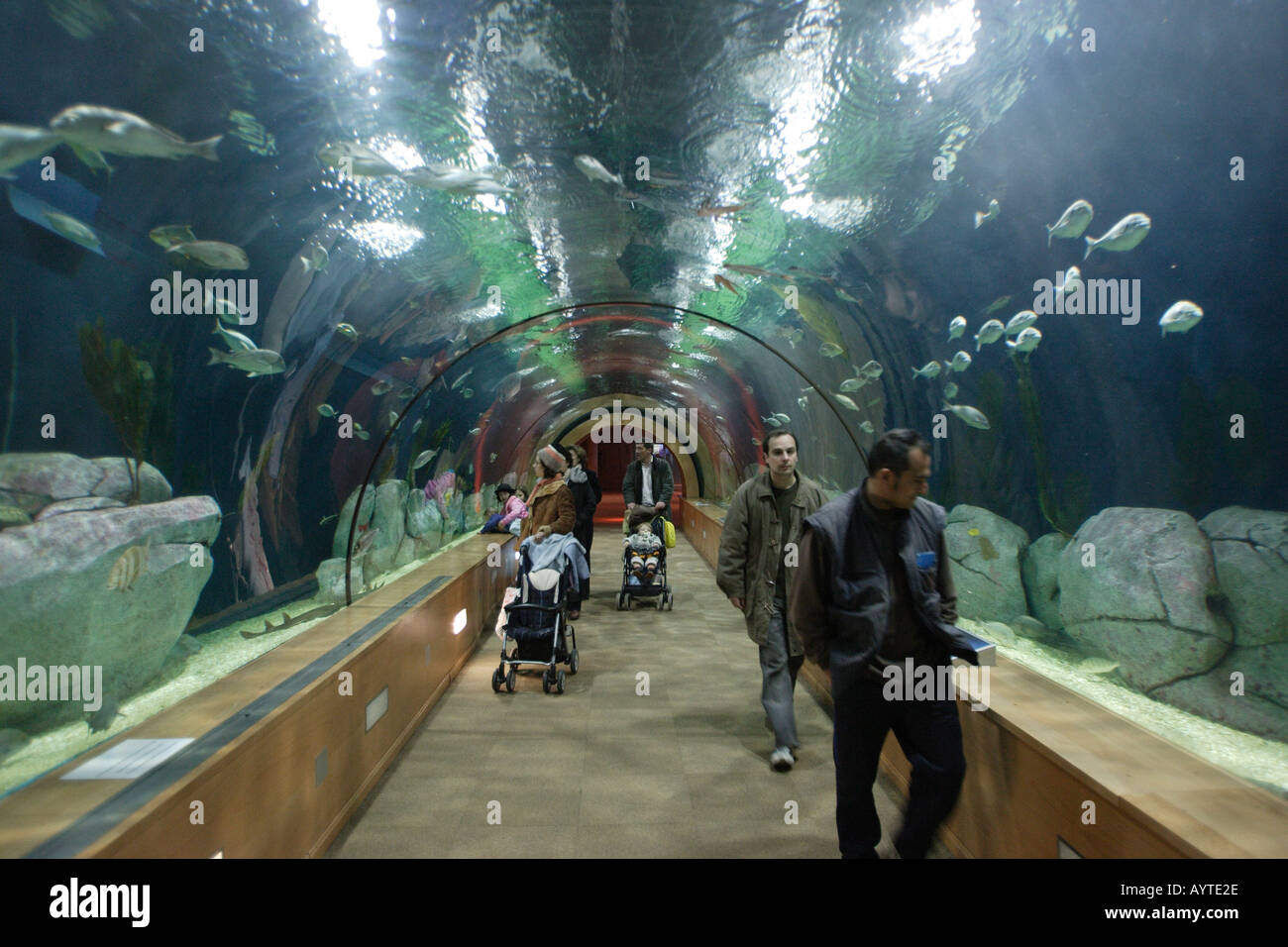 The Oceanographic aquarium in Valencia Stock Photo - Alamy