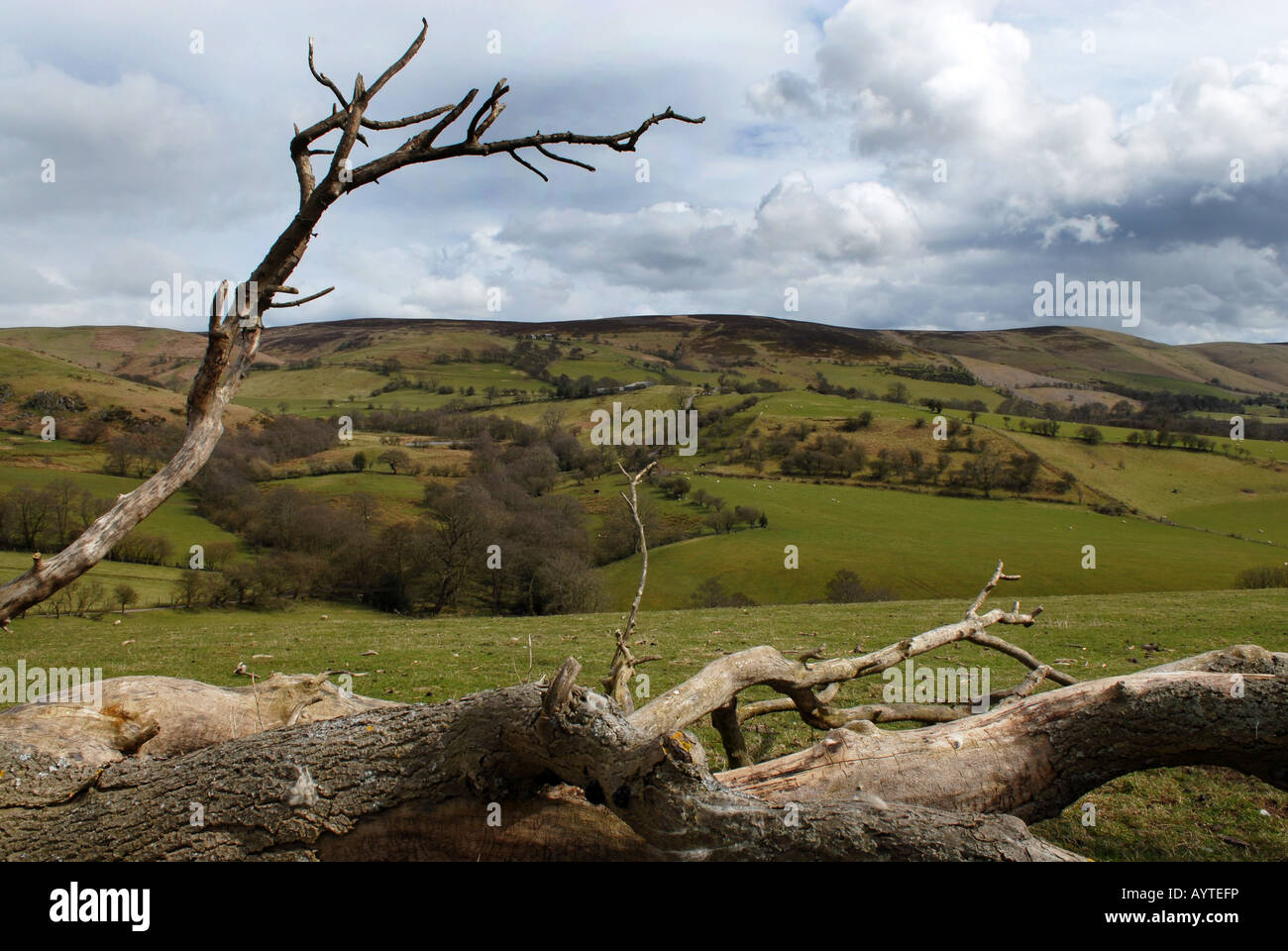 Medlicott hi-res stock photography and images - Alamy