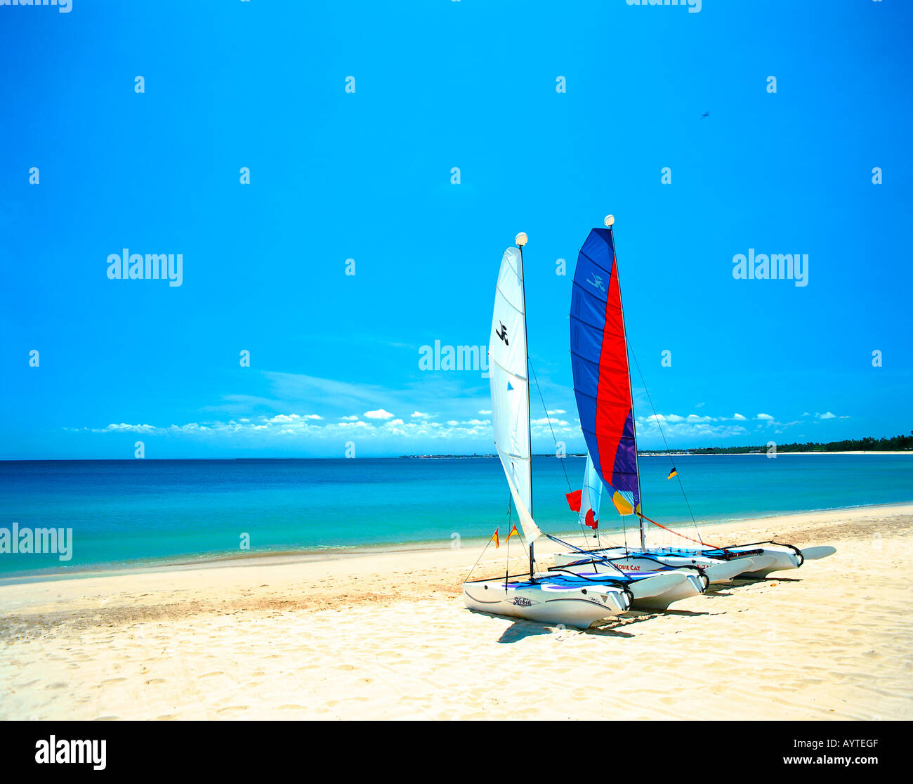 Two windsurfing boats on the shore Stock Photo - Alamy