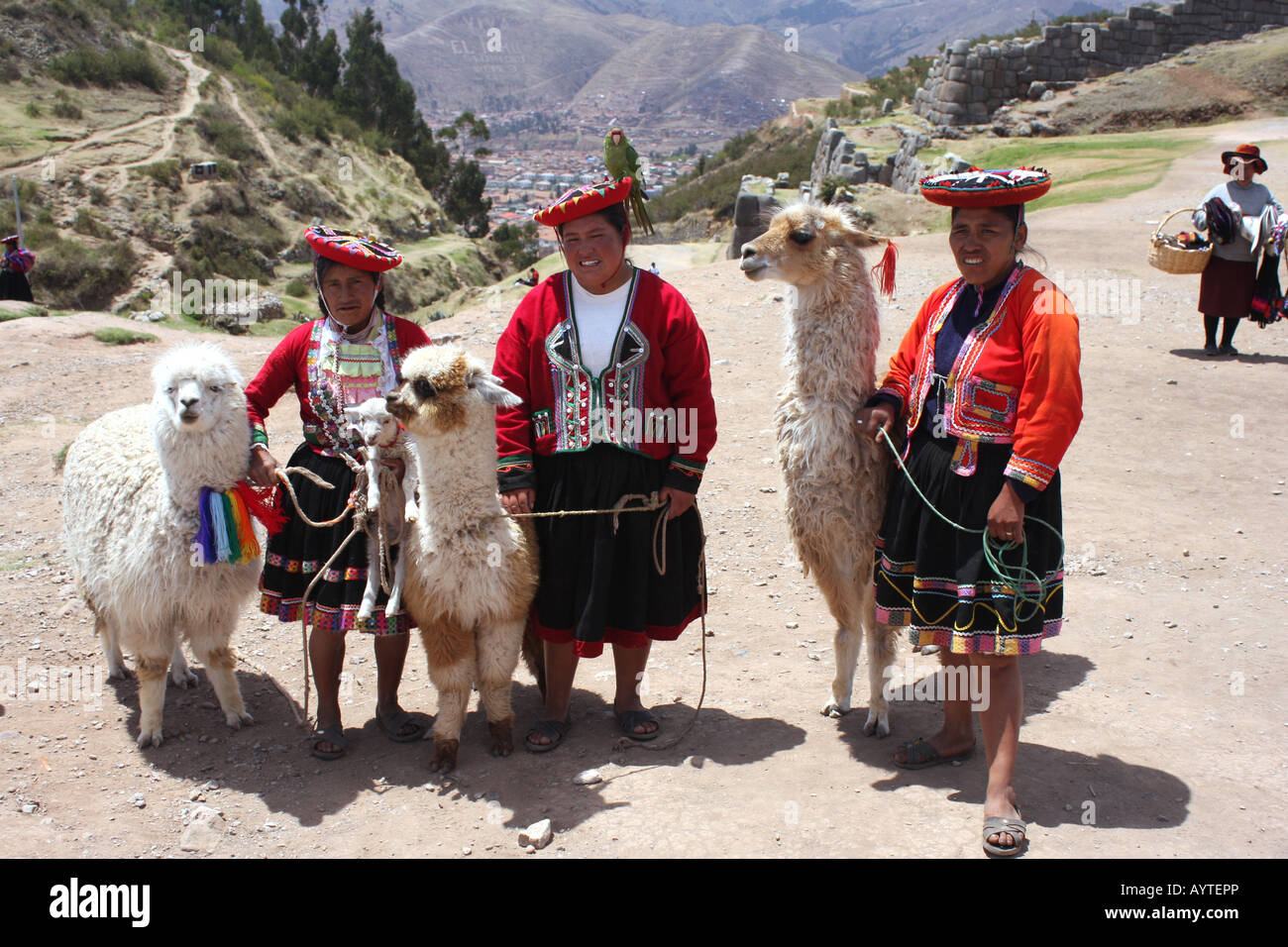 Three lamas hi-res stock photography and images - Alamy