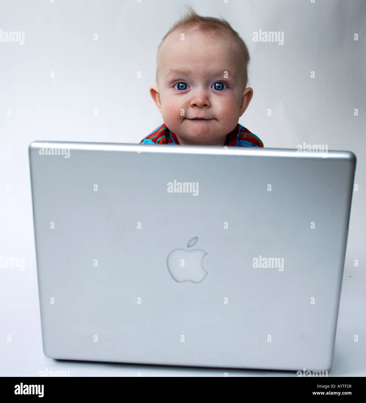 Six month old baby boy working on a laptop computer Stock Photo - Alamy