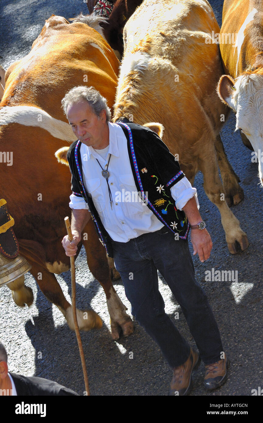 Cowherder hi-res stock photography and images - Alamy