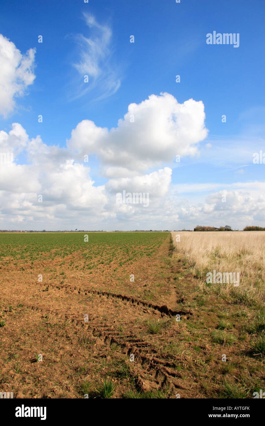 Fens Cambridge High Resolution Stock Photography and Images - Alamy