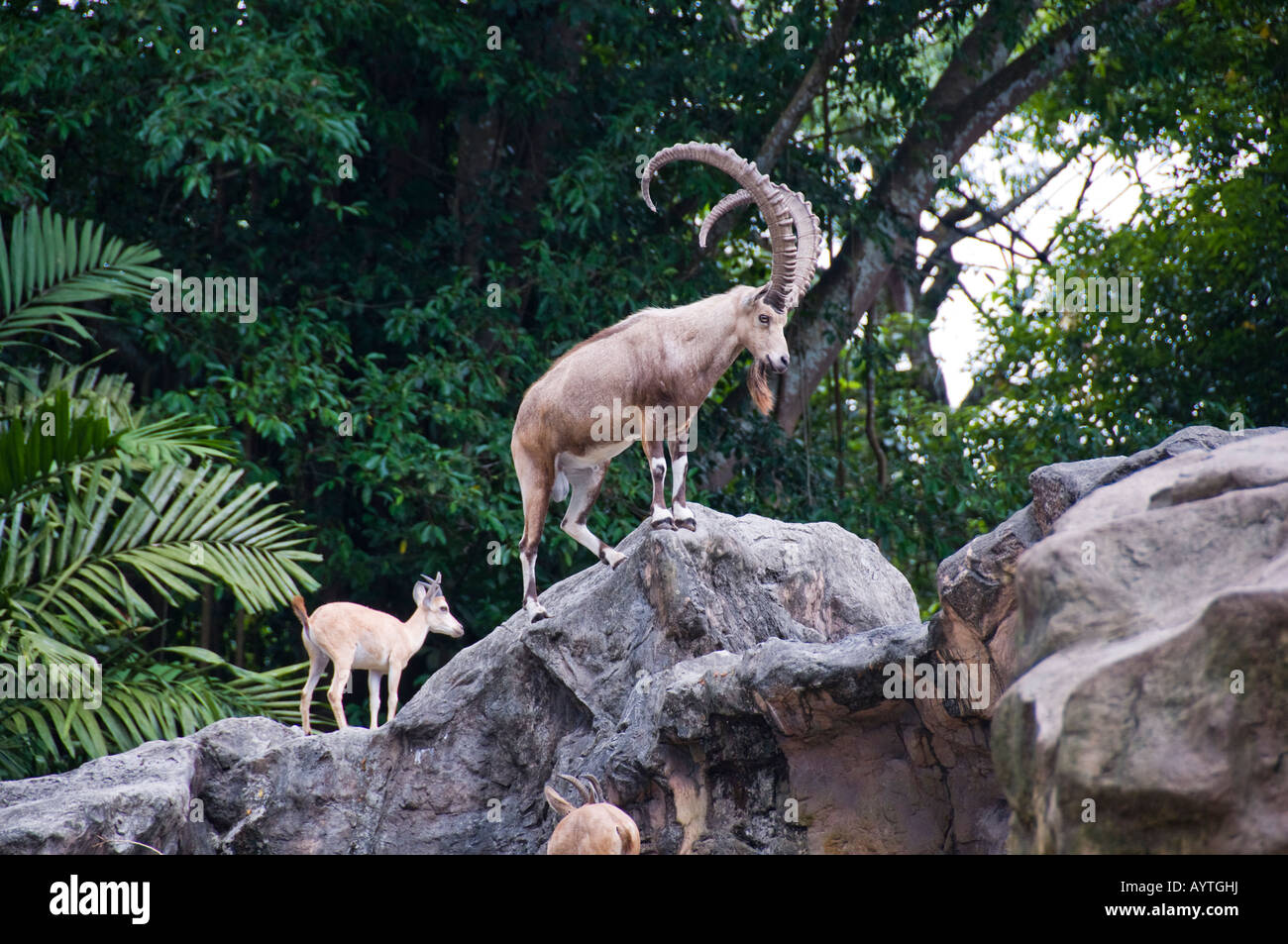 Nubian desert rocks hi-res stock photography and images - Alamy