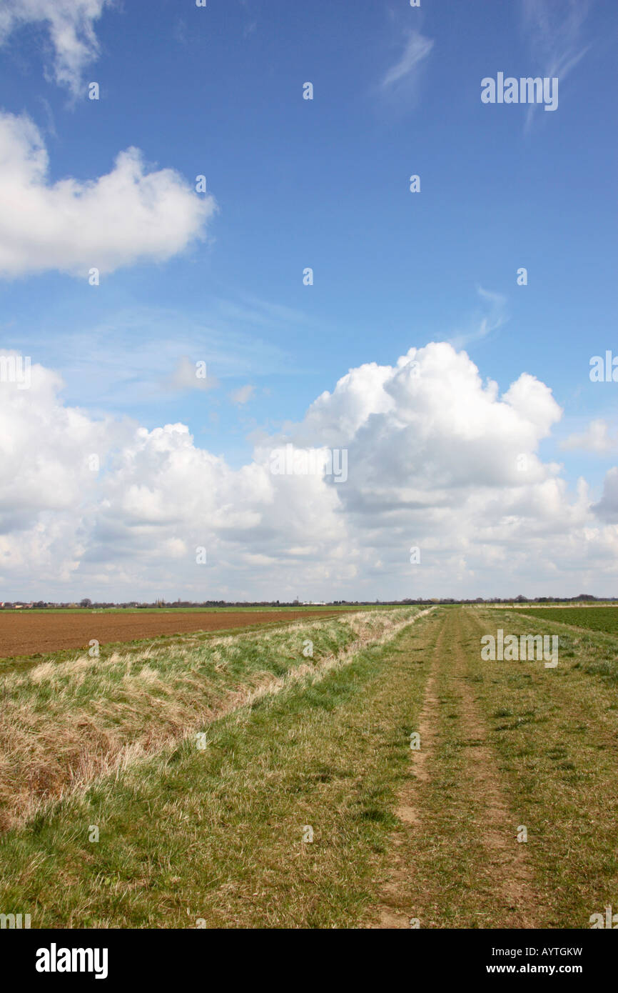 A footpath across fenland fields Stock Photo - Alamy