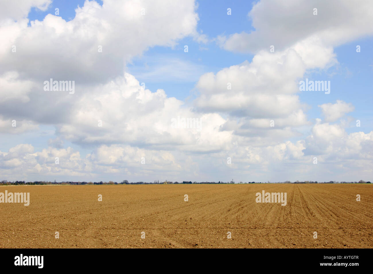 Uk landscape fens fenland hi-res stock photography and images - Alamy