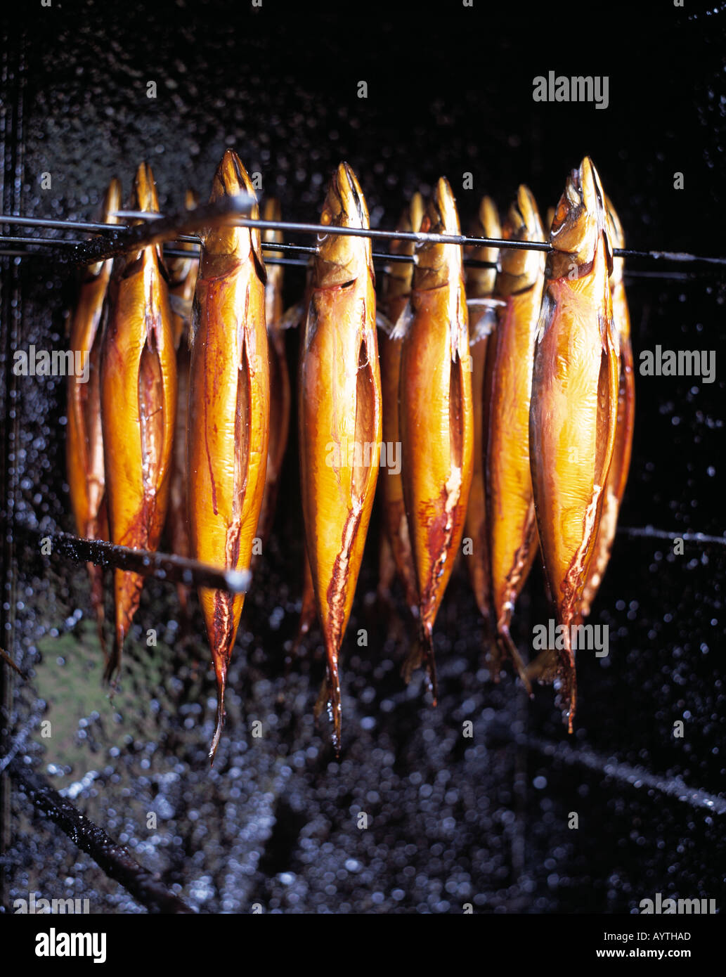 Smoking chamber hi-res stock photography and images - Alamy