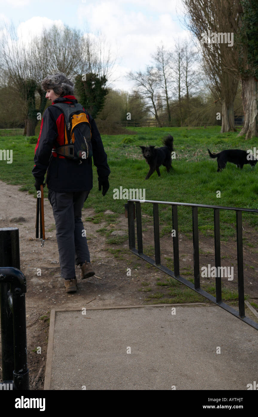 Lady dog walker opening a gate and letting it swing back Cambridge ...
