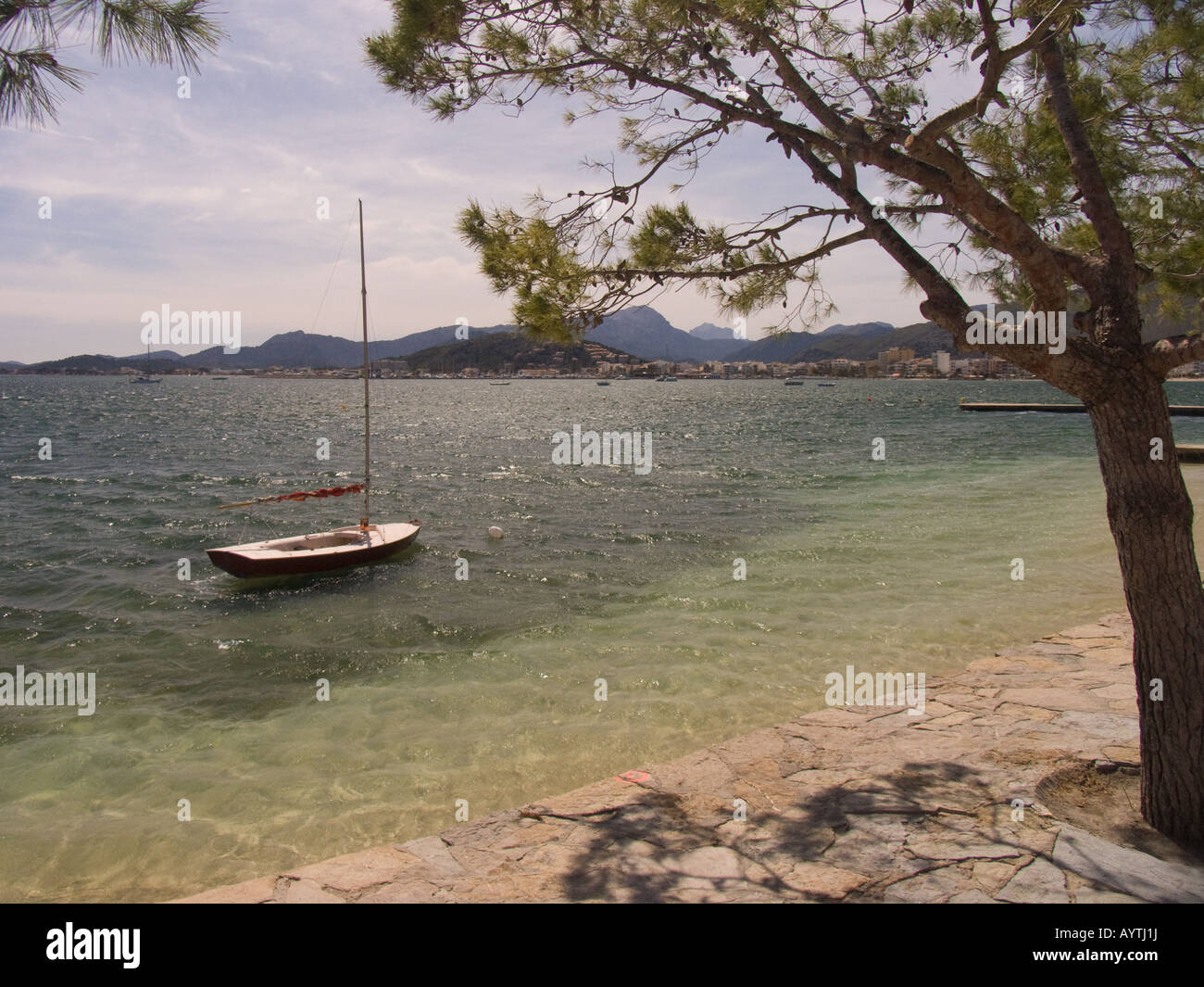 Foreground pine tree hi-res stock photography and images - Alamy