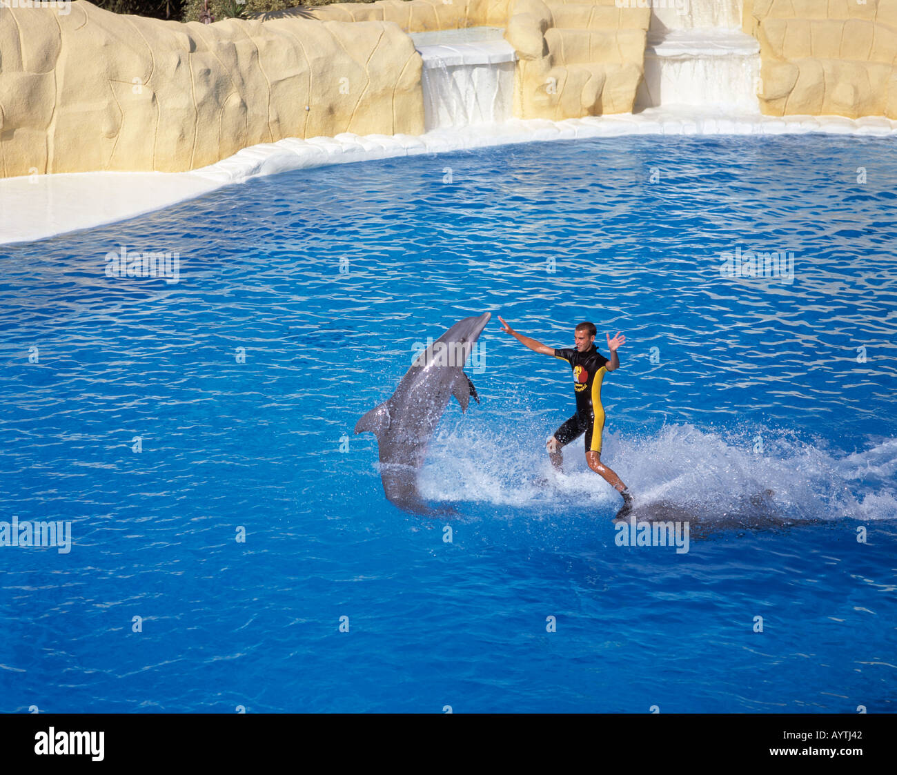 Spain, Tenerife, Canary Islands, E-Puerto de la Cruz, Loro Parque ...