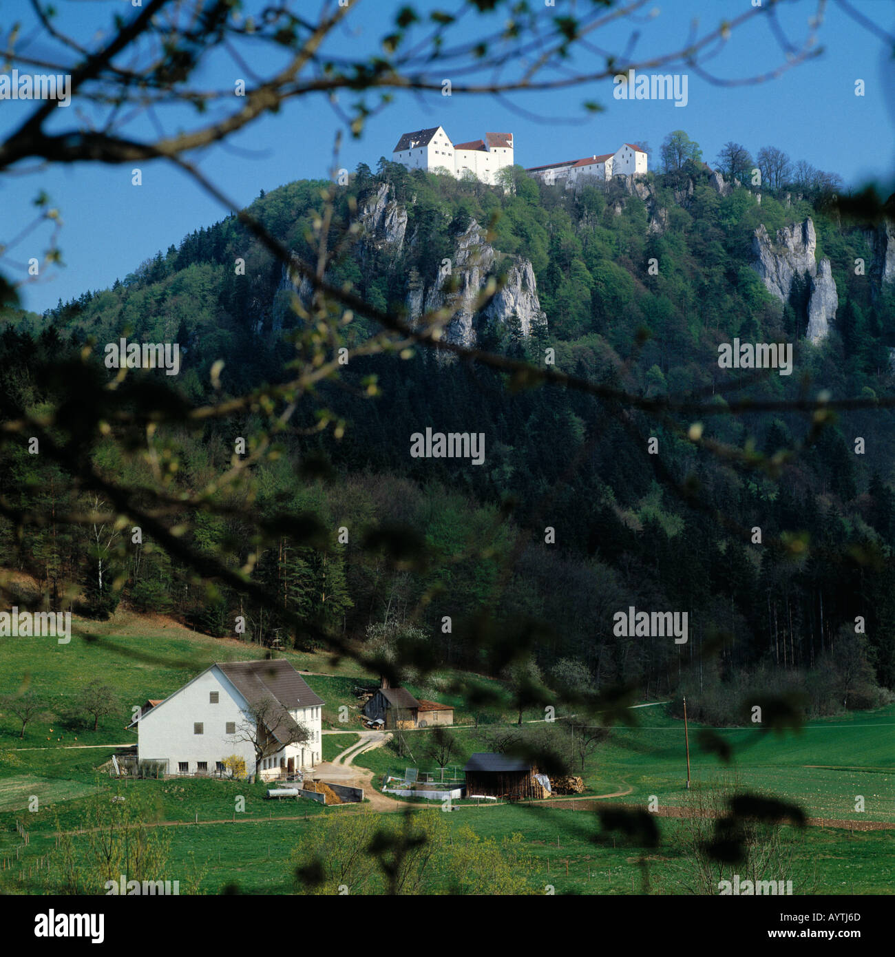 Burg Wildenstein ueber dem Donautal, Beuron, Donau, Naturpark Obere ...