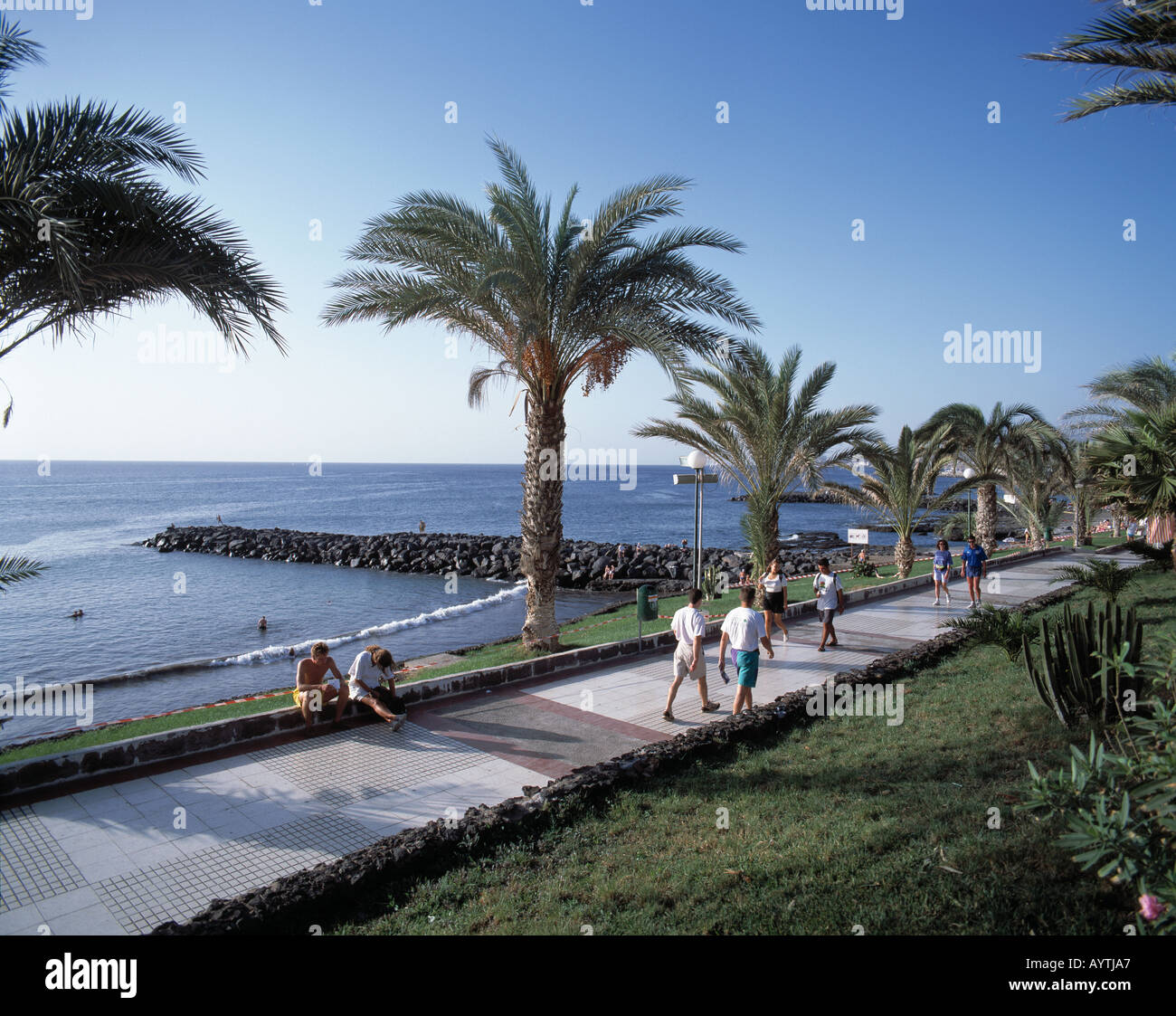 Strandpromenade mit Palmen, Flaniermeile, Touristen, Playa de las ...
