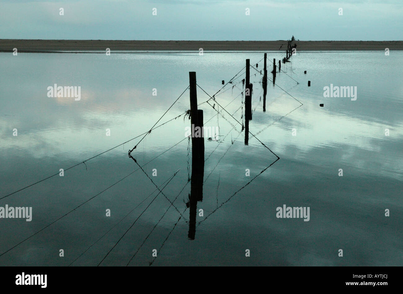 evening sky reflected into sea with submerged fence Tentsmuir forrest ...