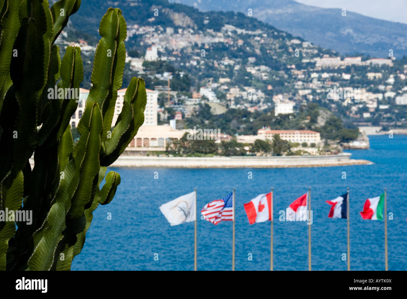 Cactus and flag hi-res stock photography and images - Alamy
